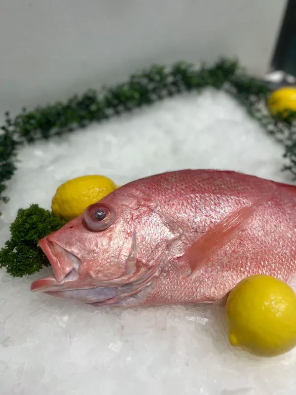 Buy Red Snapper Whole Online — Fresh Fish (Whole) Gold Coast | Tasman ...